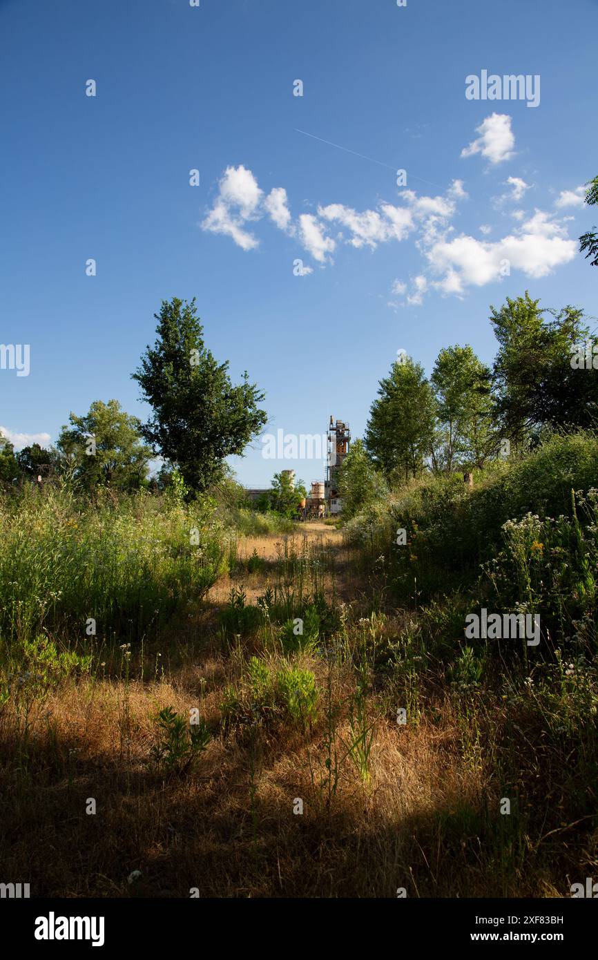 Derelict industrial site with abandoned buildings and wild vegetation ...