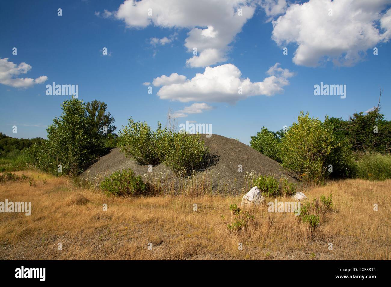 Vegetation thriving on gravel mound in abandoned industrial landscape ...