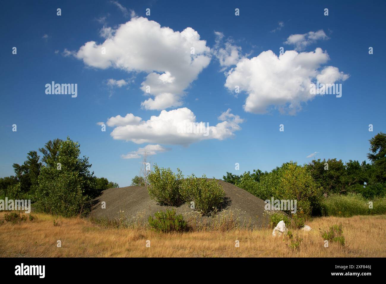 Vegetation thriving on gravel mound in abandoned industrial landscape ...