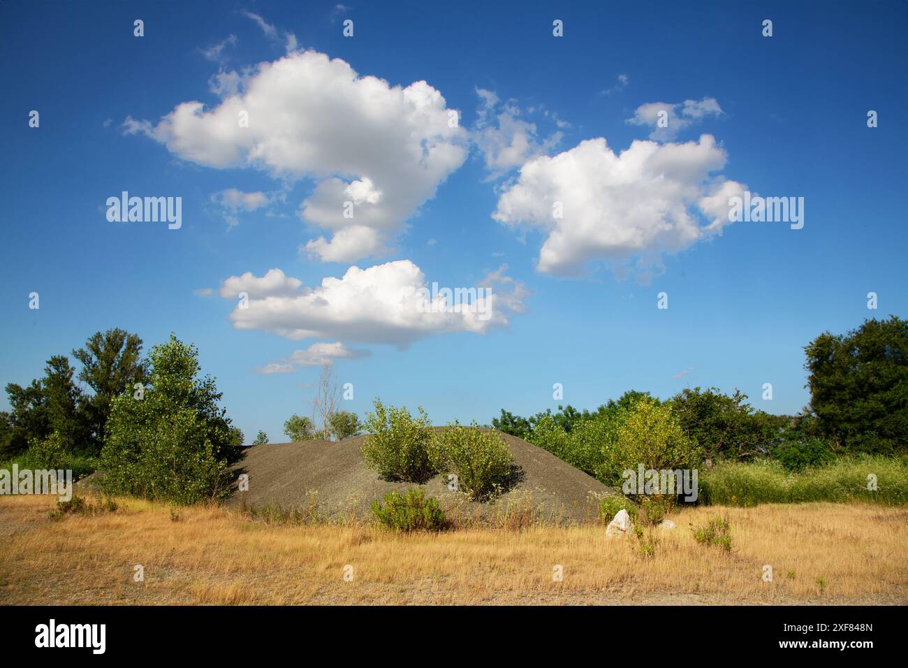 Vegetation thriving on gravel mound in abandoned industrial landscape ...