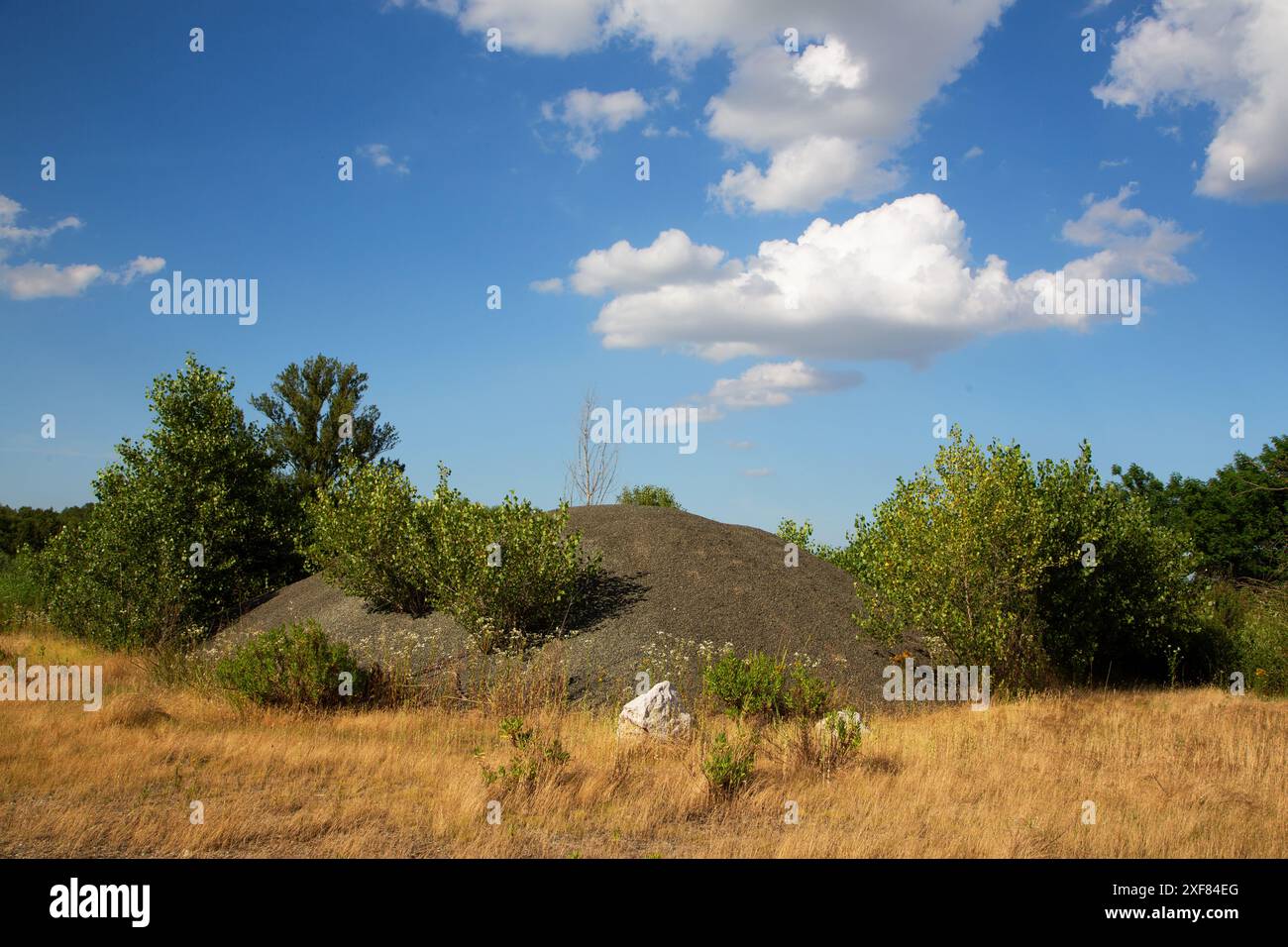 Vegetation thriving on gravel mound in abandoned industrial landscape ...