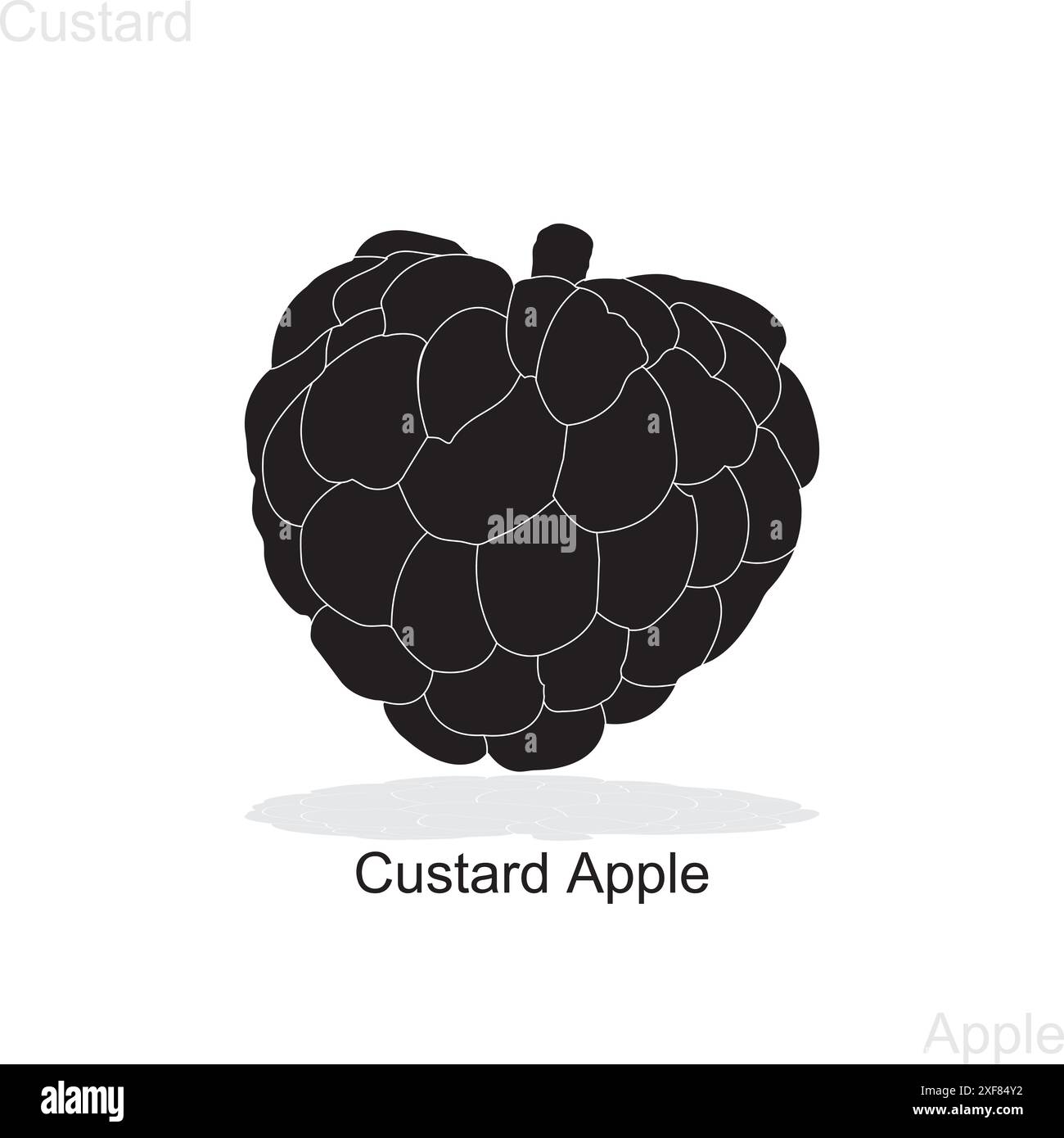 Sweet juicy ripe custard Stock Vector Images - Alamy