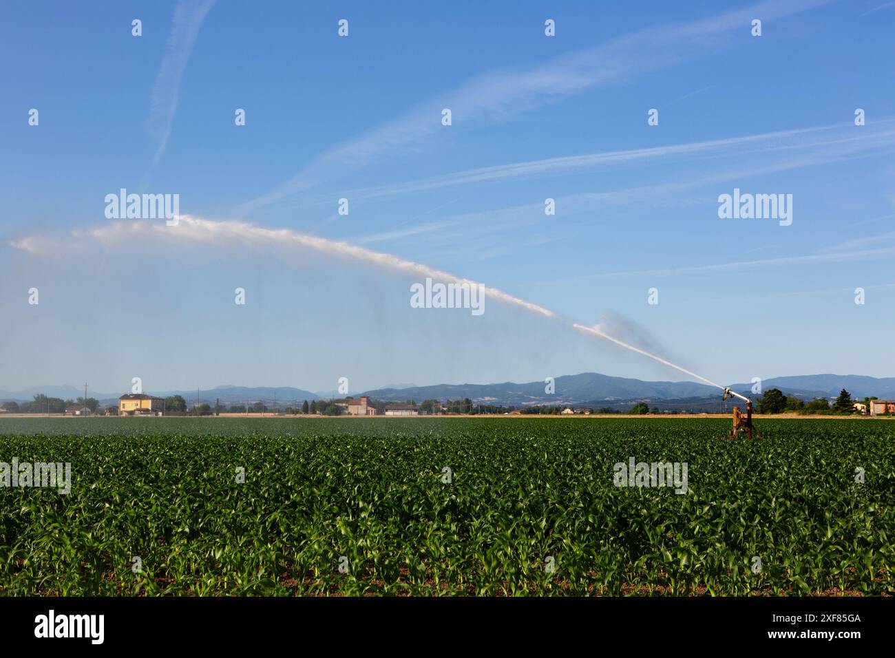 Sprinkler system irrigating farmland to mitigate effects of drought ... Sprinkler system irrigating farmland to mitigate effects of drought ...