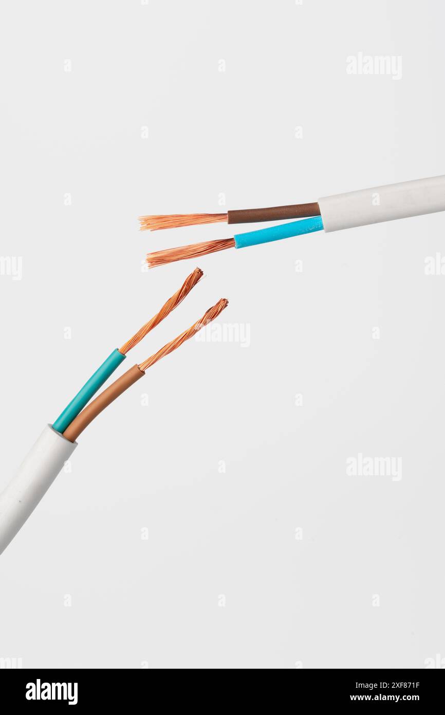 Two-Wire Electrical Cable With Exposed Copper Strands Stock Photo - Alamy