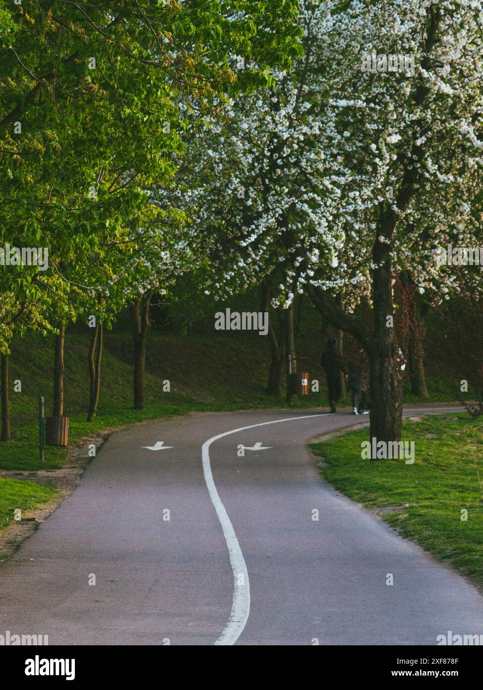 Park bike lane hi-res stock photography and images - Alamy