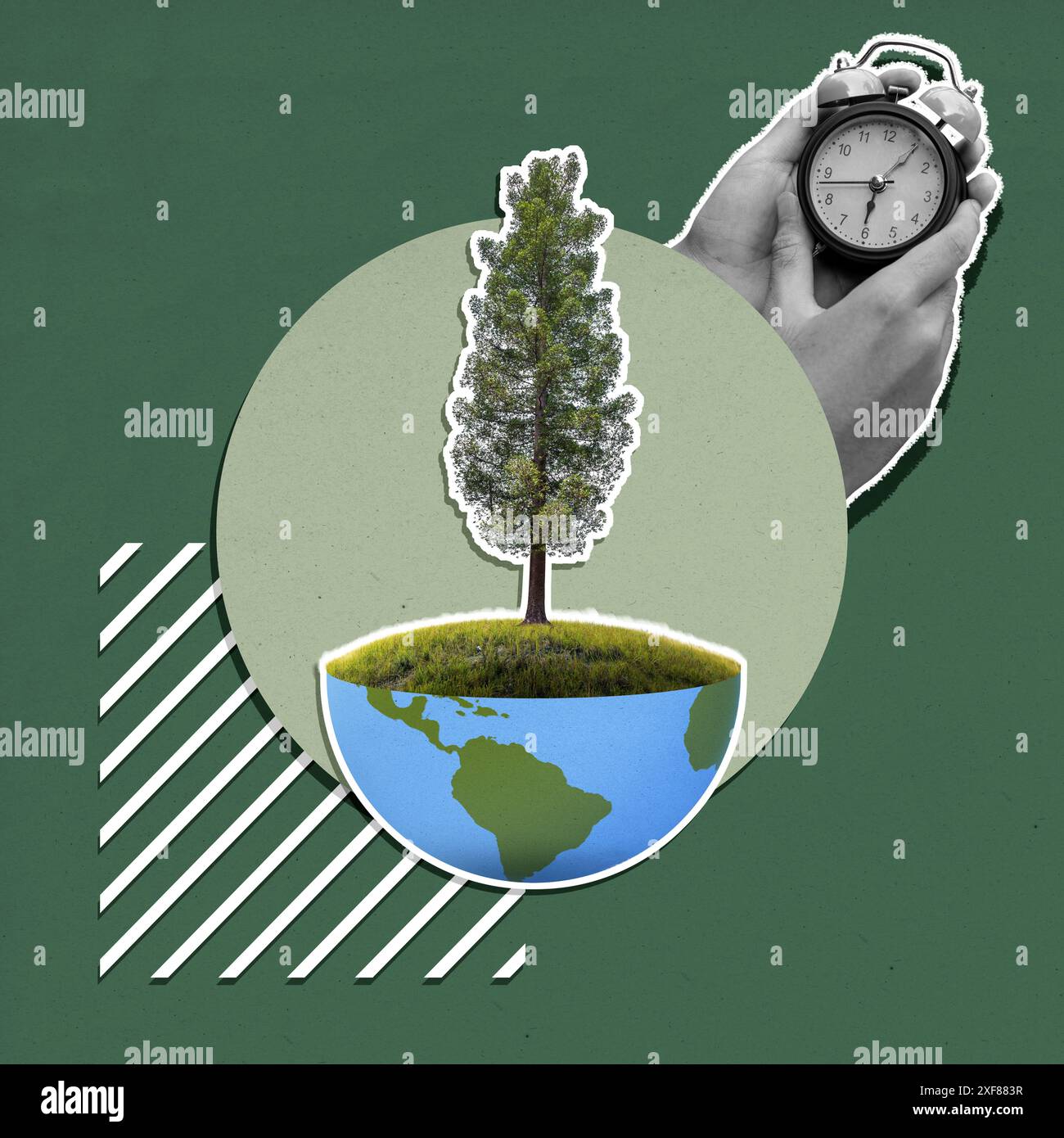 A human hand holding an alarm clock with a growing tree on the ground ...