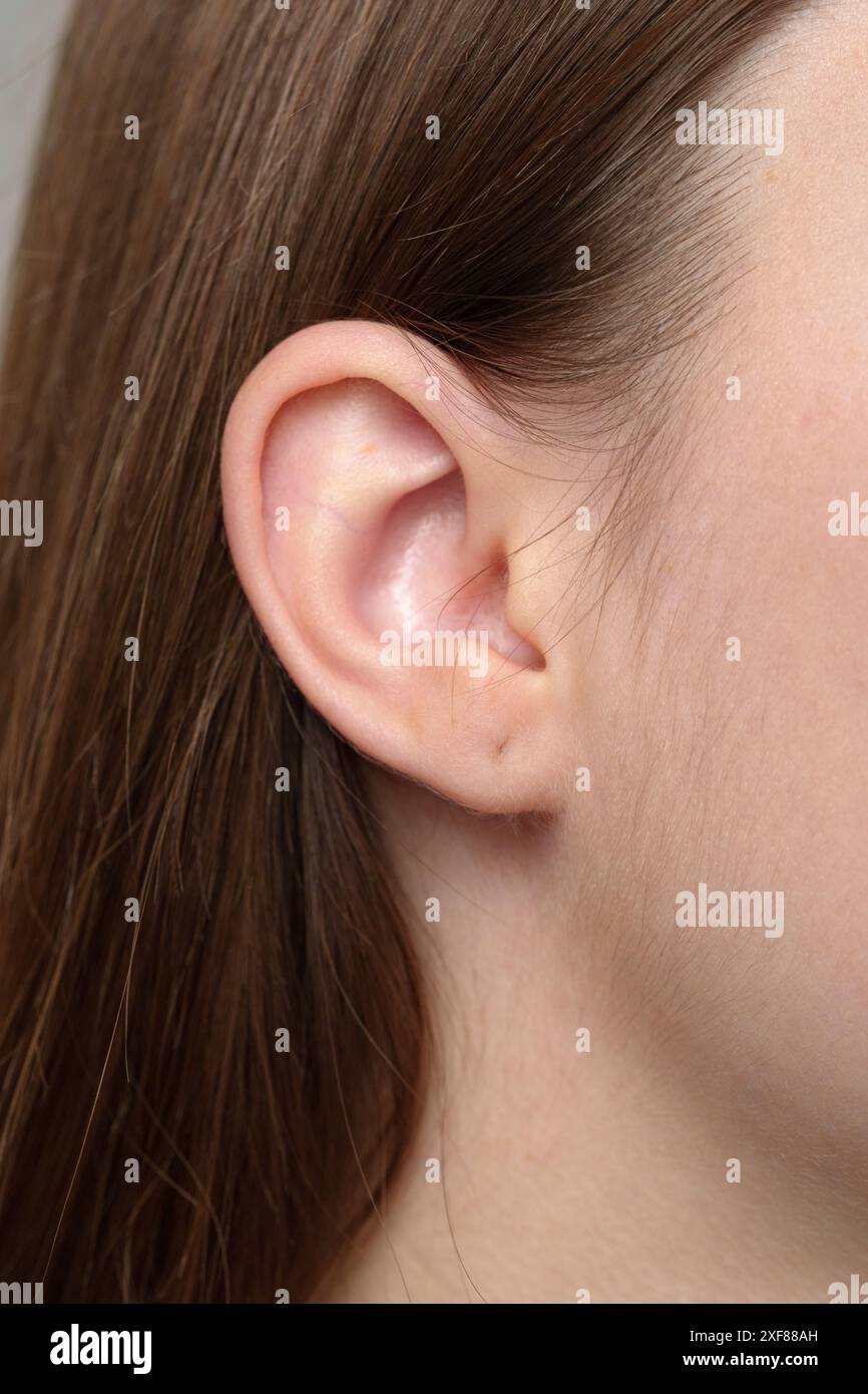Close up left ear hi-res stock photography and images - Alamy