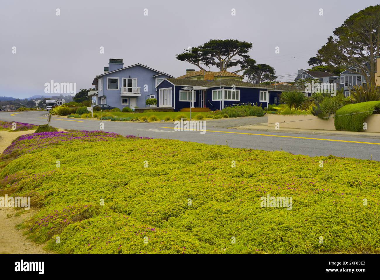 Spring time at Pacific Grove, California, USA Stock Photo - Alamy