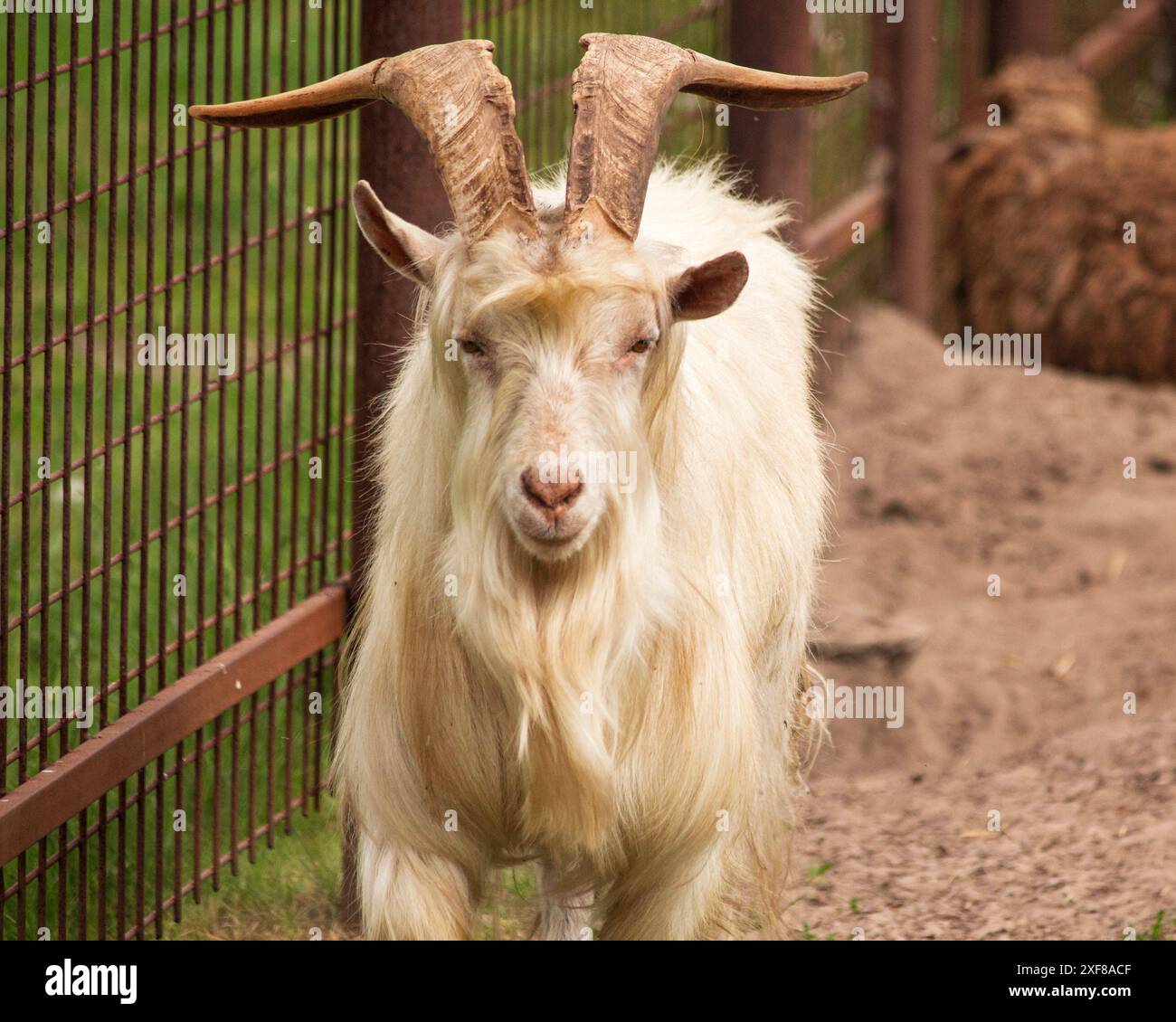 Big farm on mountain hi-res stock photography and images - Alamy