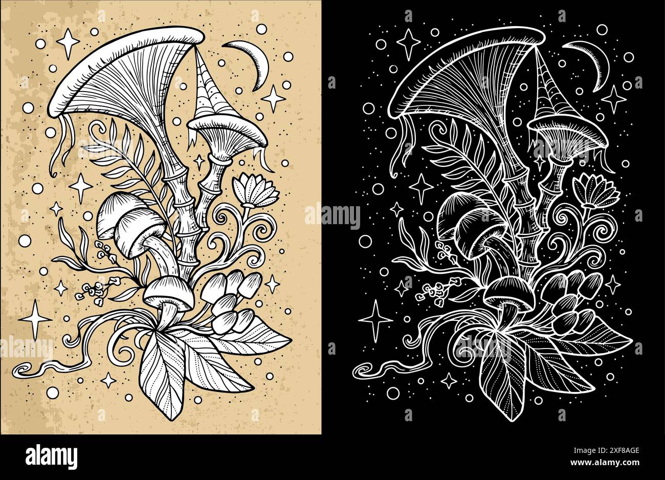 Celestial mystic mushrooms with magic and floral decorative design ...