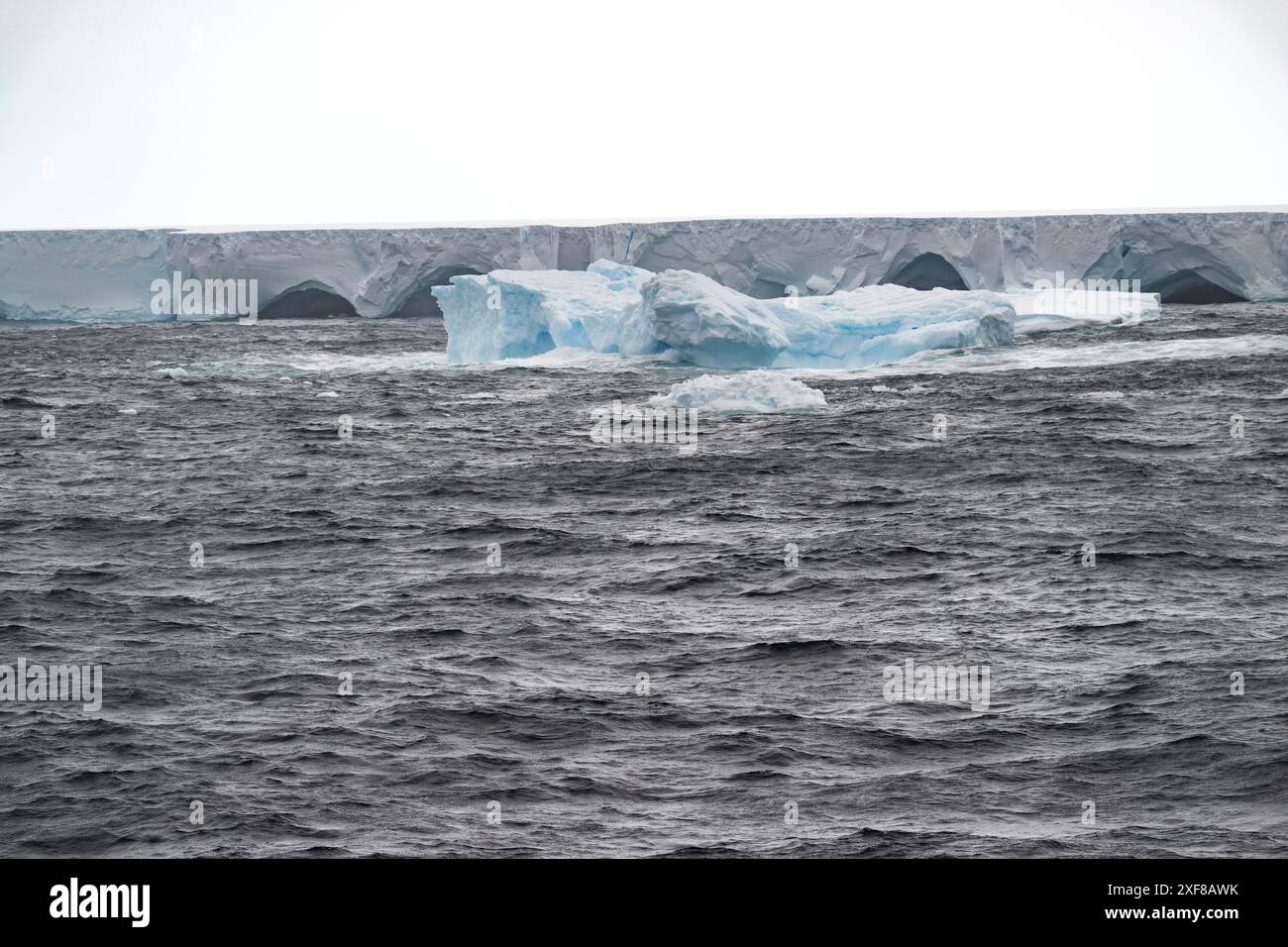 Iceberg A23a , the largest iceberg in the world, floating in the Southern Ocean close to the ...