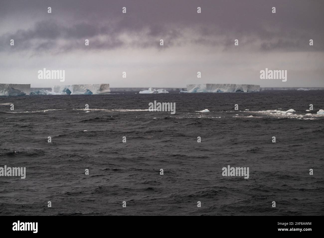 Iceberg A23a , the largest iceberg in the world, floating in the Southern Ocean close to the ...