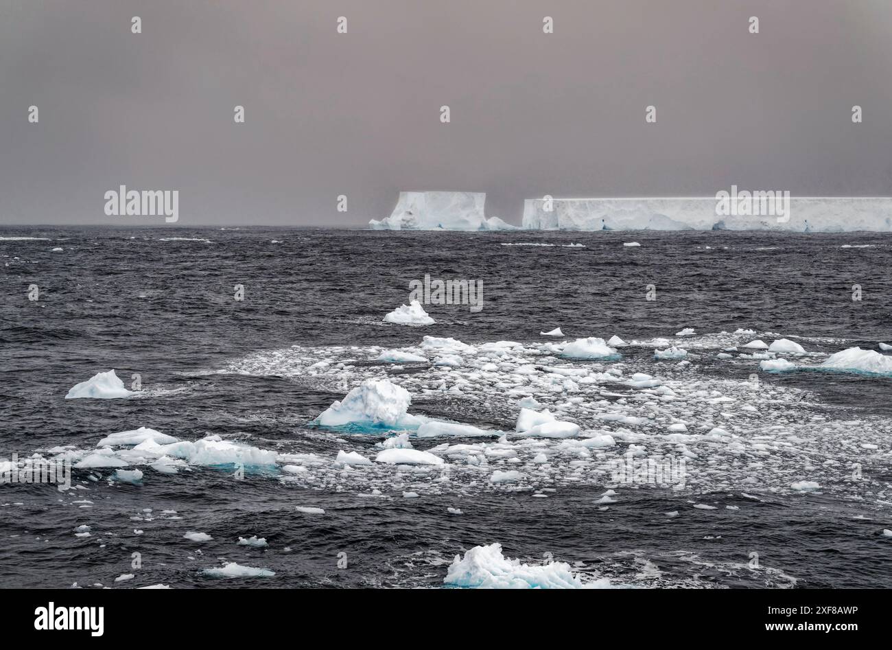 Iceberg A23a , the largest iceberg in the world, floating in the ...