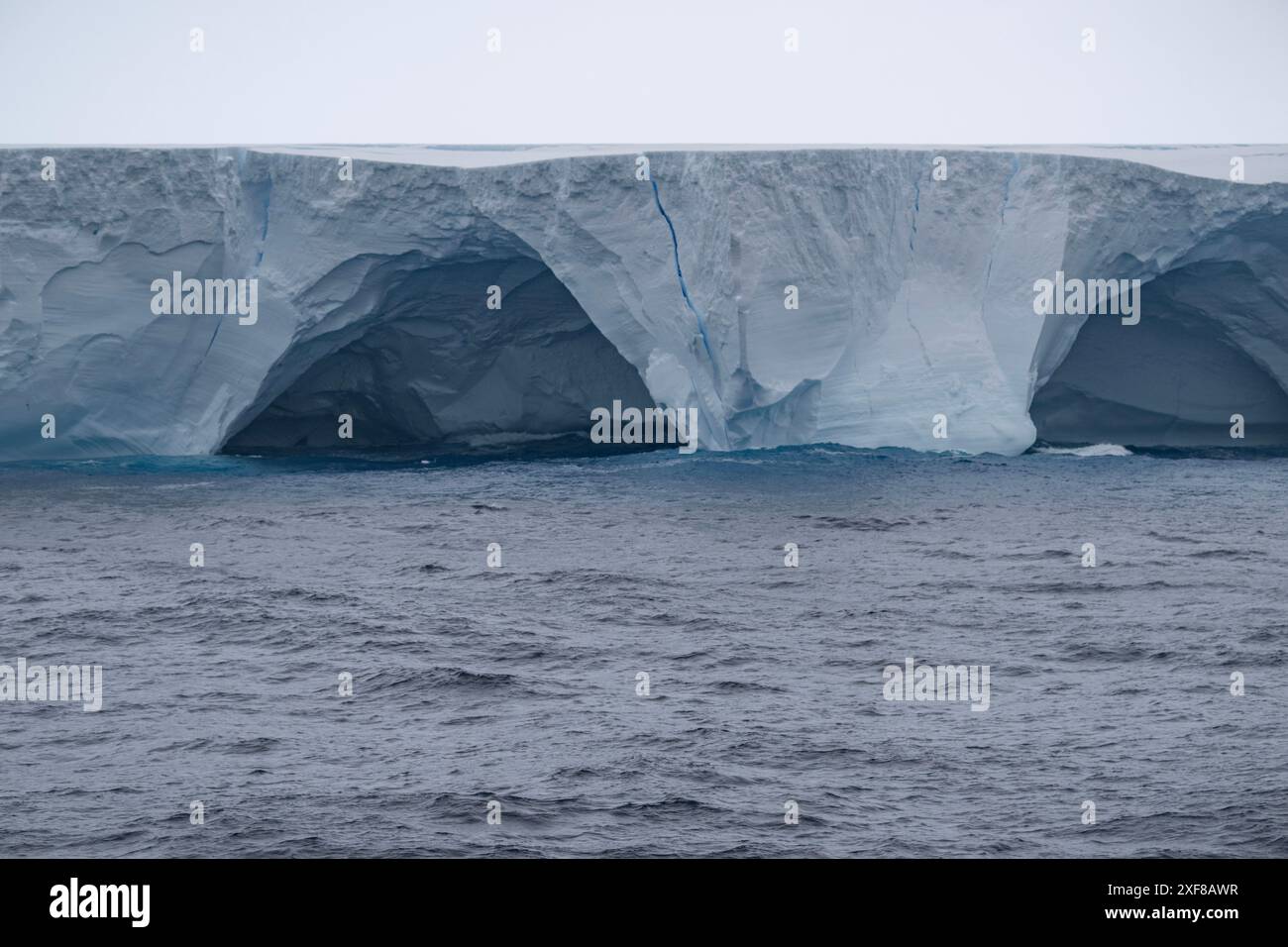 Iceberg A23a , the largest iceberg in the world, floating in the ... Iceberg A23a , the largest iceberg in the world, floating in the ...