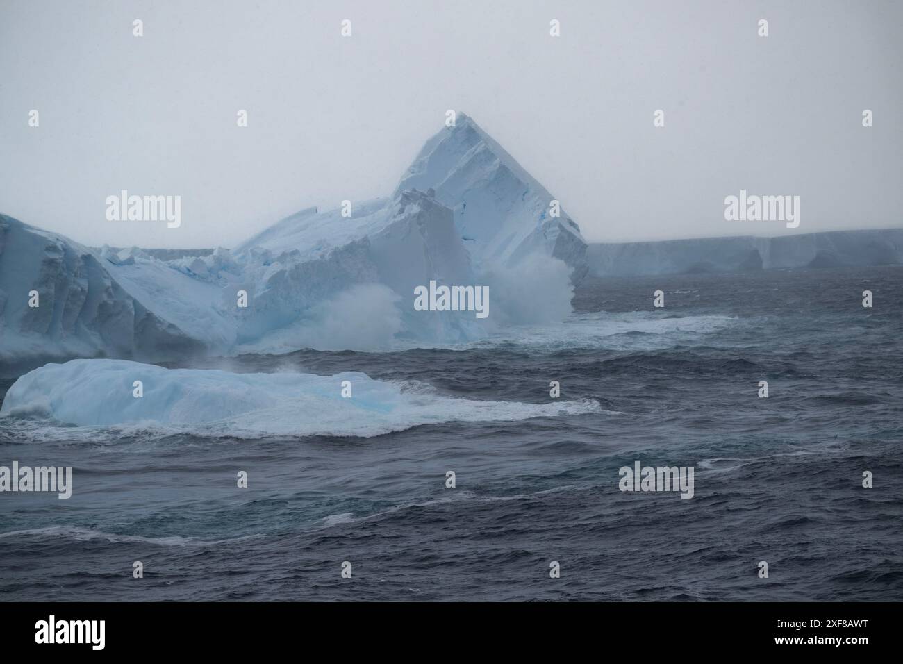 Iceberg A23a , the largest iceberg in the world, floating in the Southern Ocean close to the ...