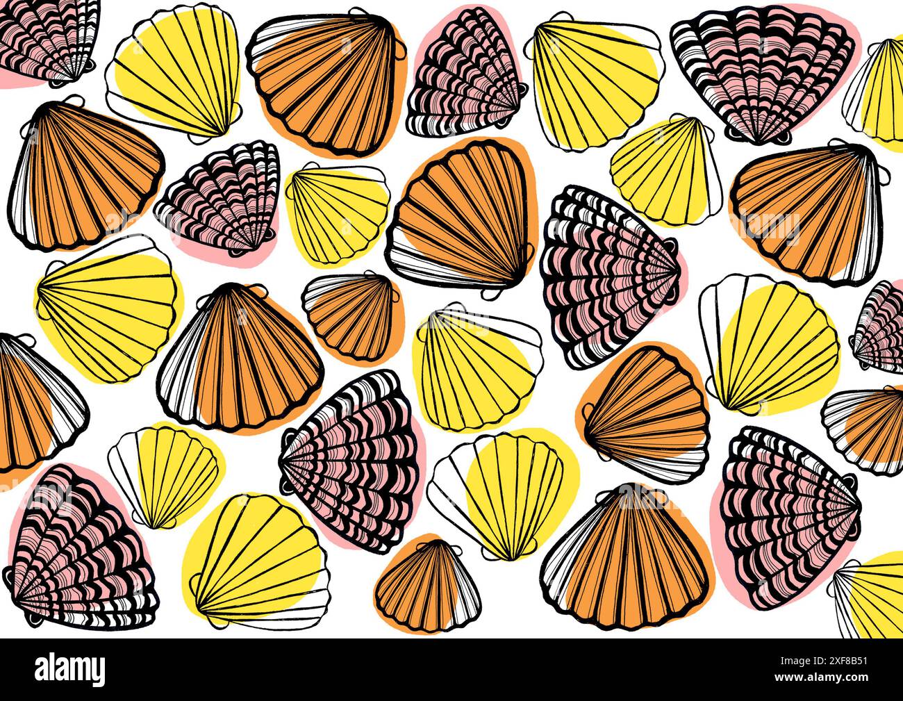 Pattern of seashells of different sizes. Drawing with black outline ...