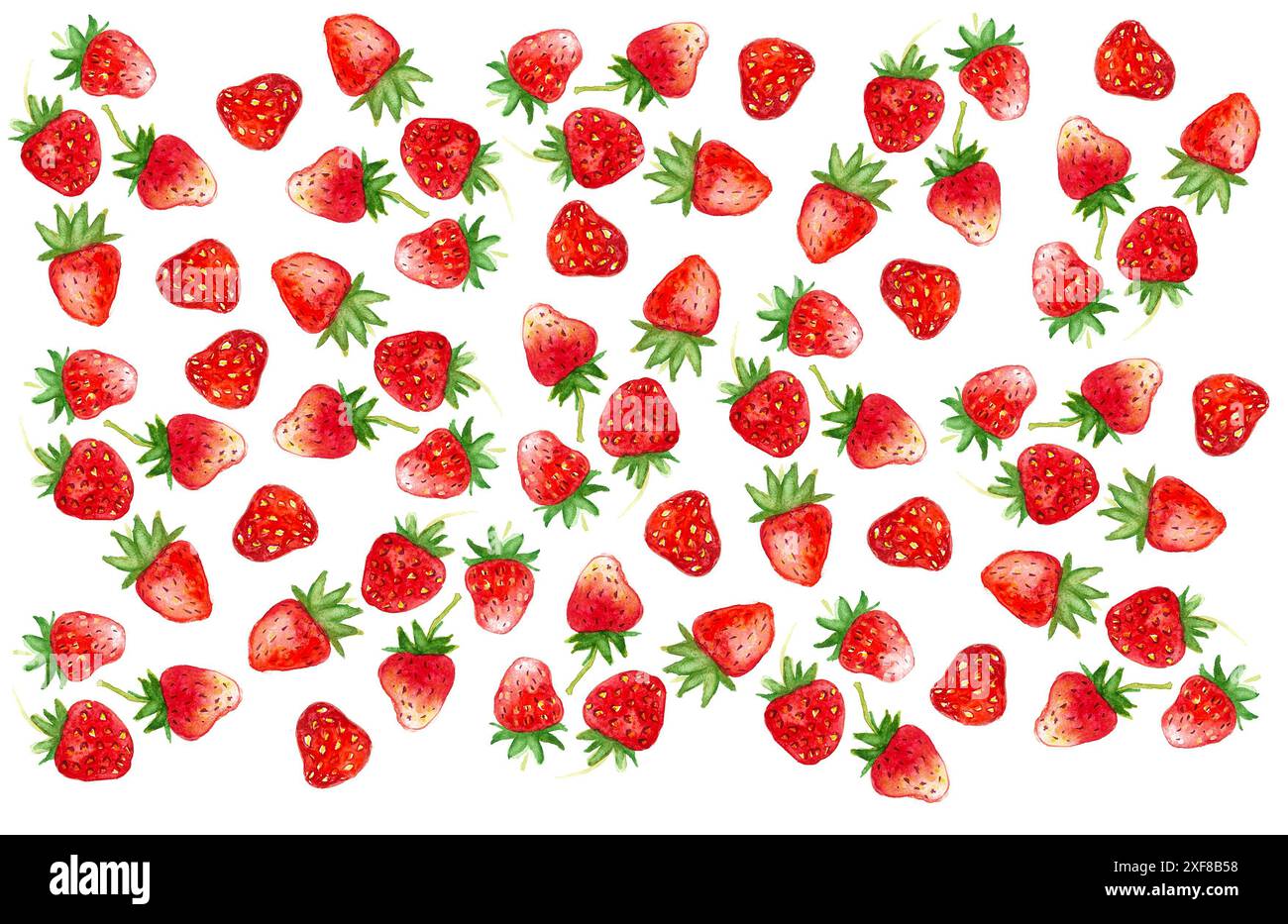 Strawberry berries pattern. Watercolor drawing. White background ...