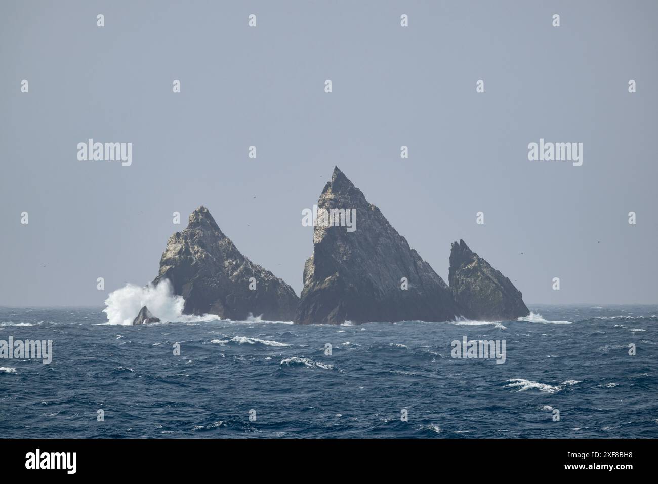 Shag rocks south georgia hi-res stock photography and images - Alamy