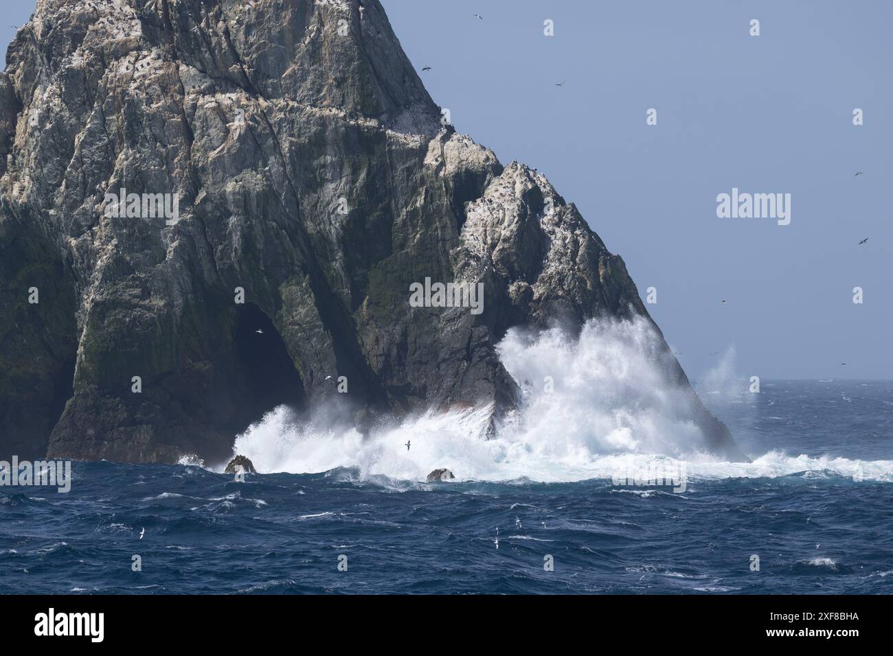 Shag rocks (South Georgia), Aurora Islands,islets, 53°32′51″S 42°01′12 ...