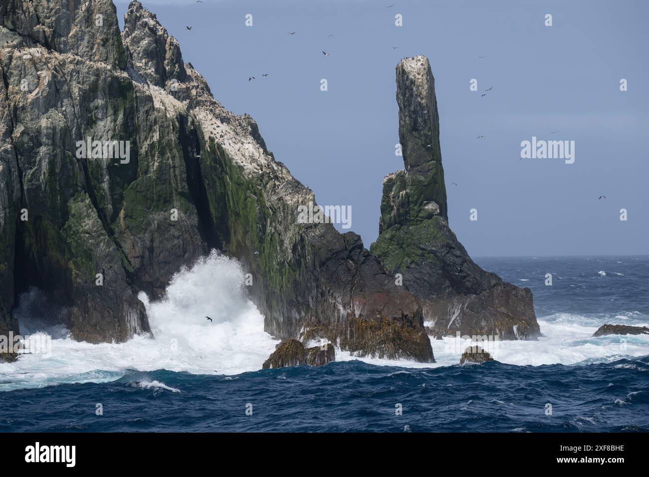 Shag rocks (South Georgia), Aurora Islands,islets, 53°32′51″S 42°01′12 ...