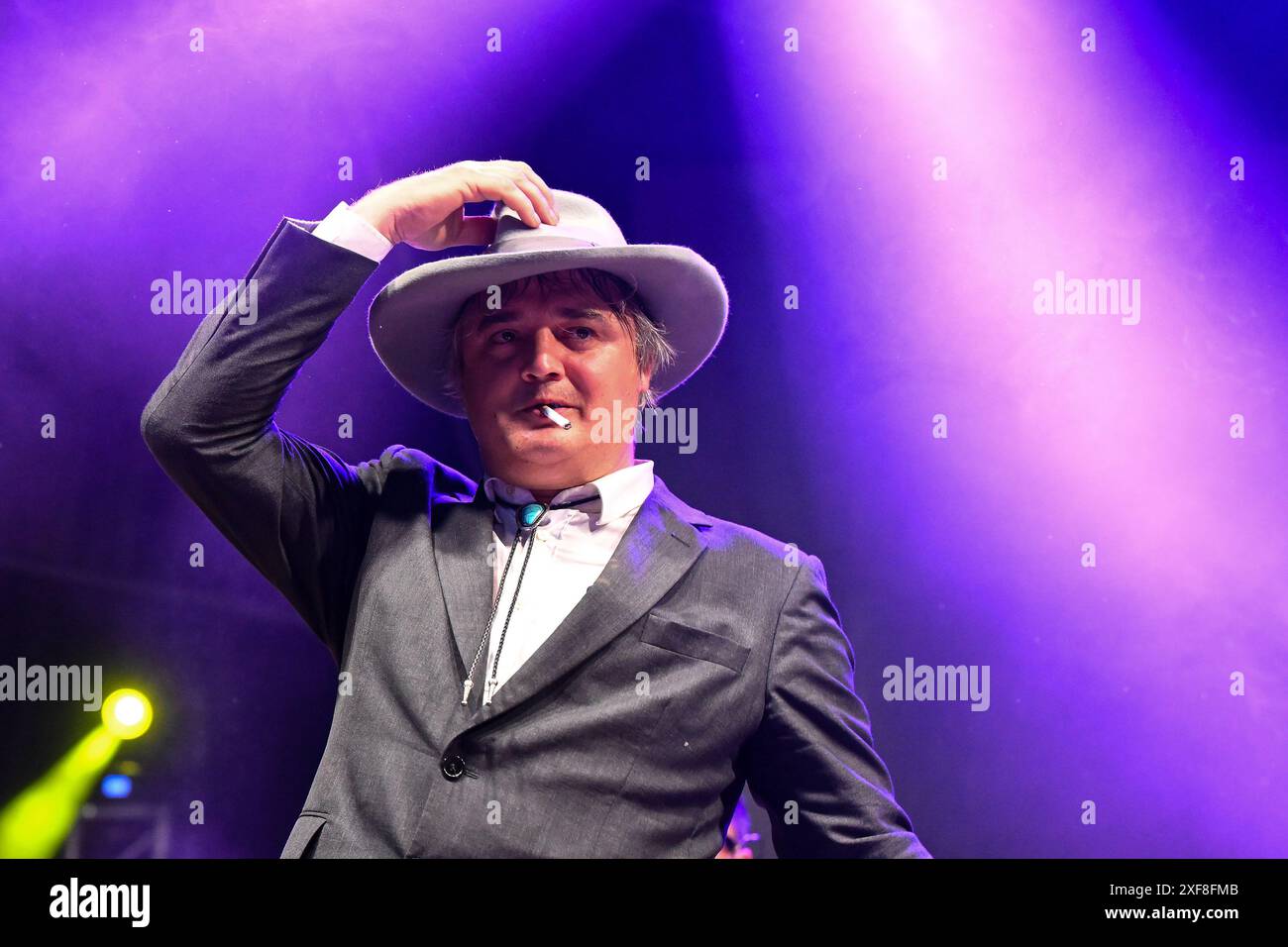 Pete Doherty of The Libertines performs during Tour 2024 at Villa Ada ...
