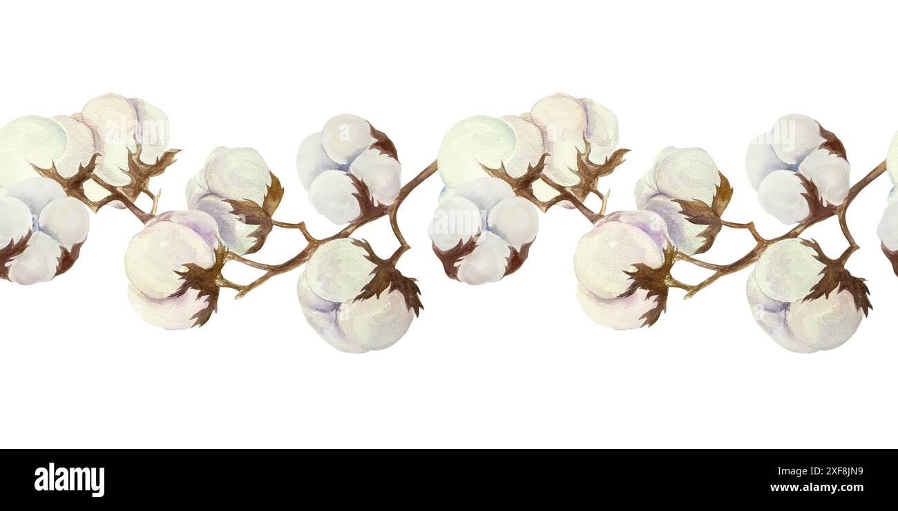 Cotton seamless border. Hand drawn watercolor illustration isolated on ...