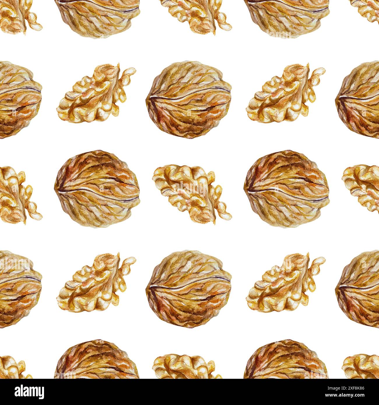Walnut seamless pattern. Whole and without shell, nut fruit. Hand drawn ...
