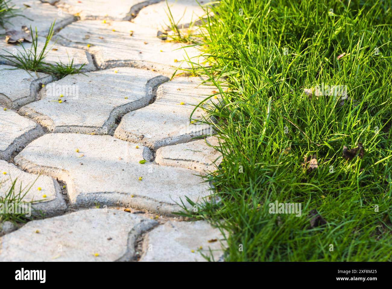 Cobbled park lane and green grass. Decorative concrete blocks pavement ...