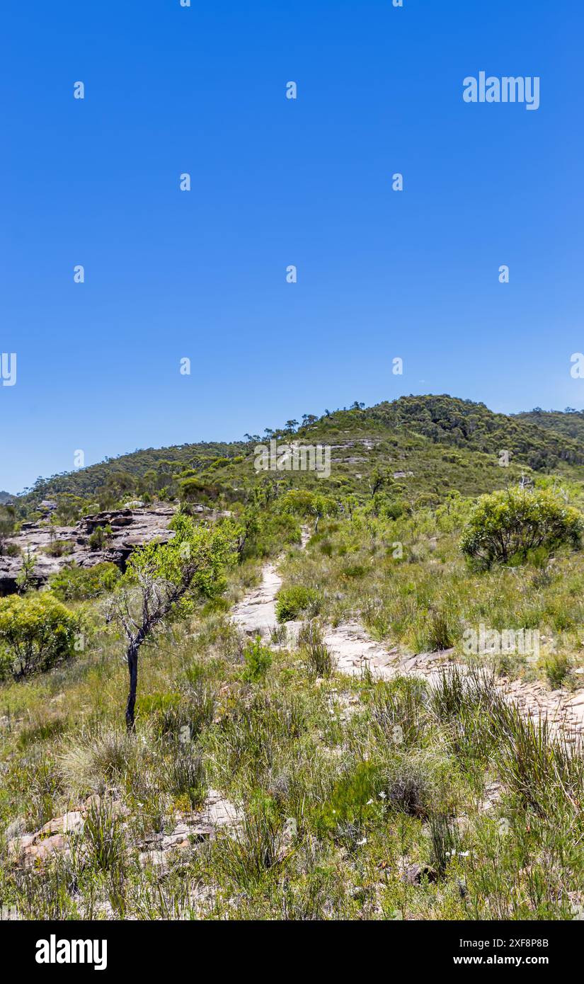 A view of a winding hiking trail near Walls Lookout ascending through ...