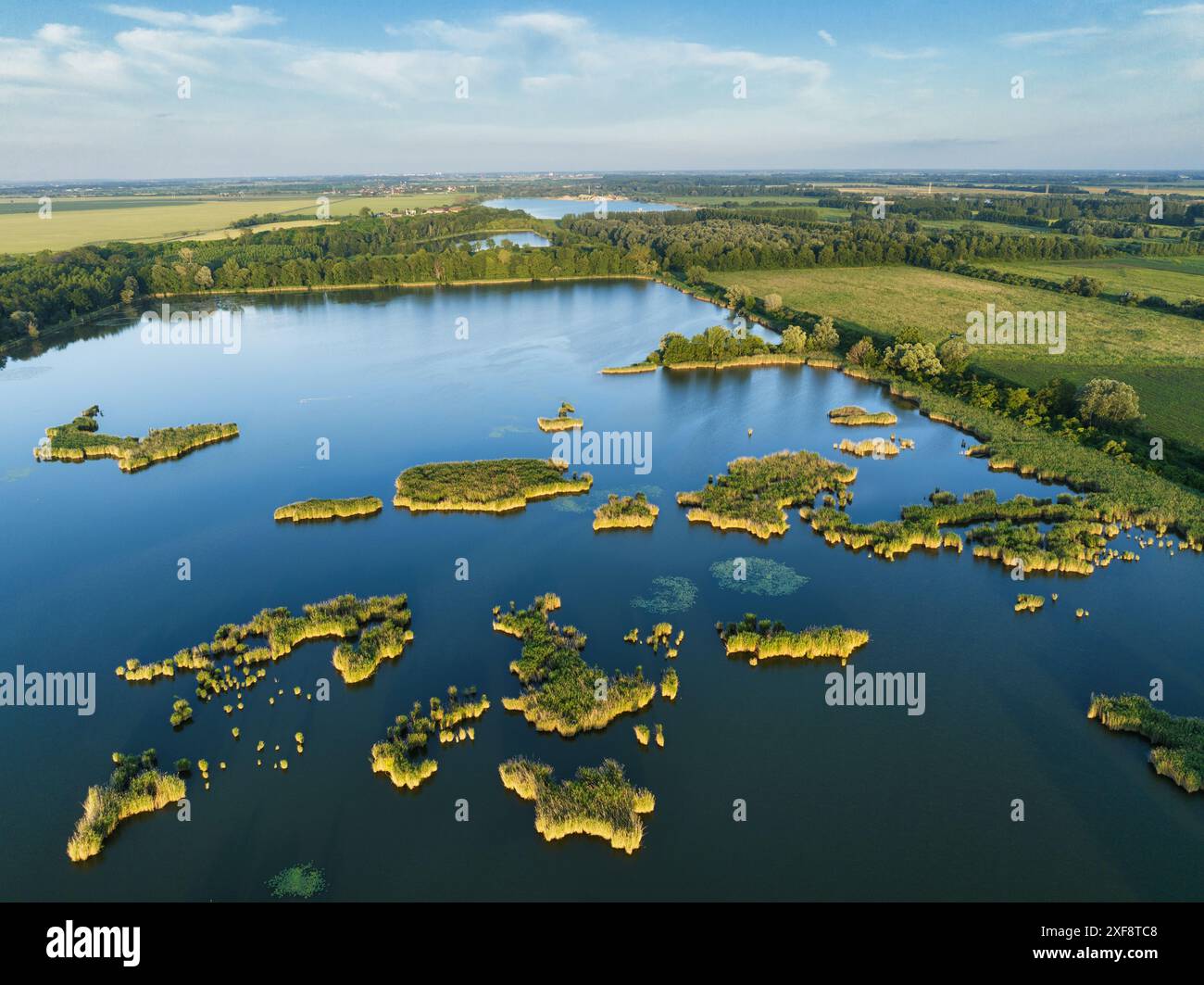 Drone photo of lake - pond bog with sun - Absolutely stunning aerial ...