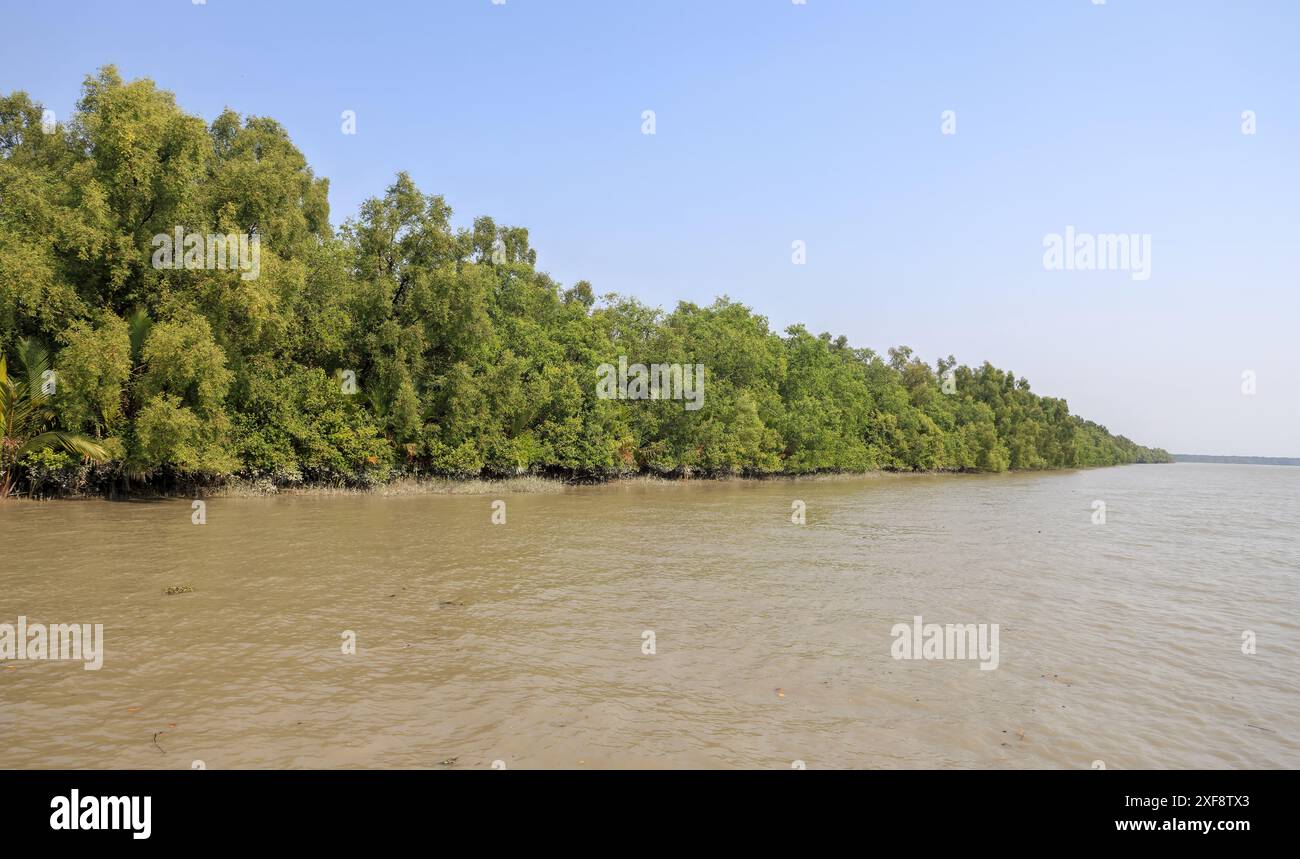 Sundarbans is a tidal wetland forest delta with an area of about 10,200 ...