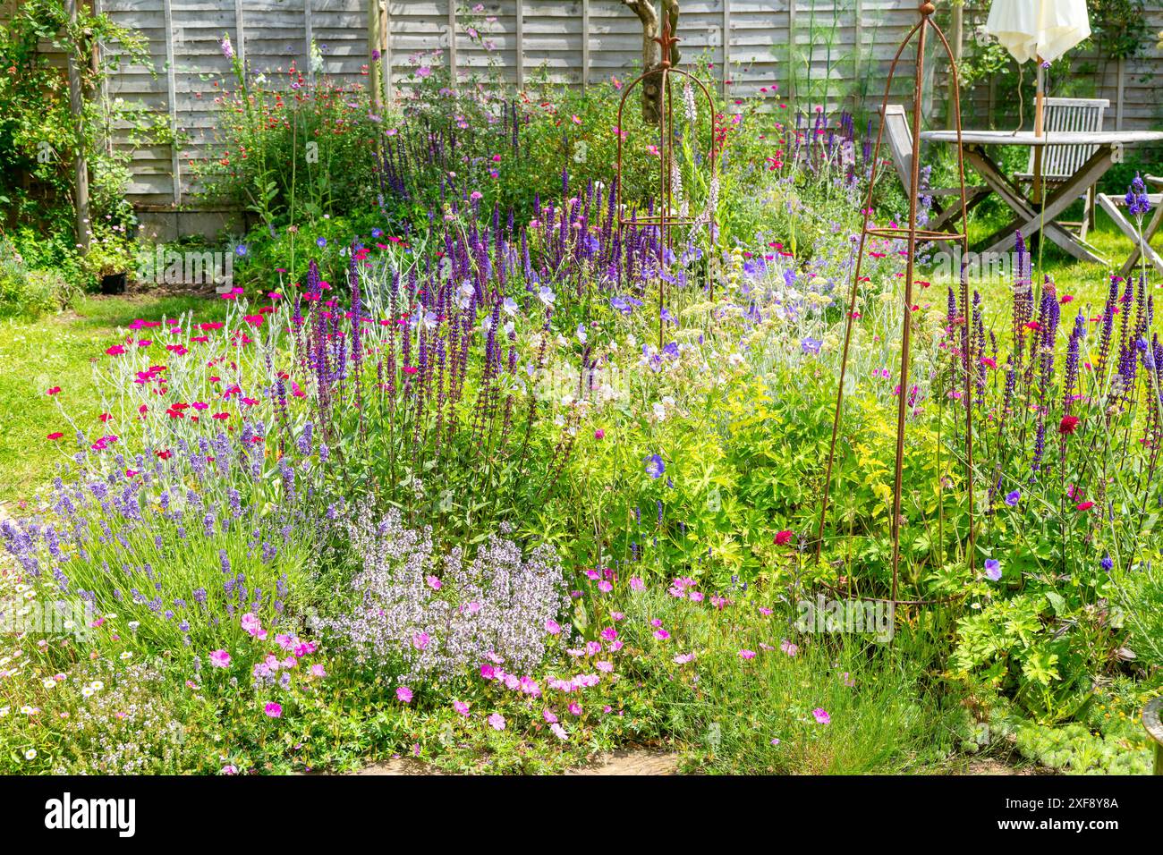 Plants in flower in small garden in summer, Suffolk, England, Uk Stock ...