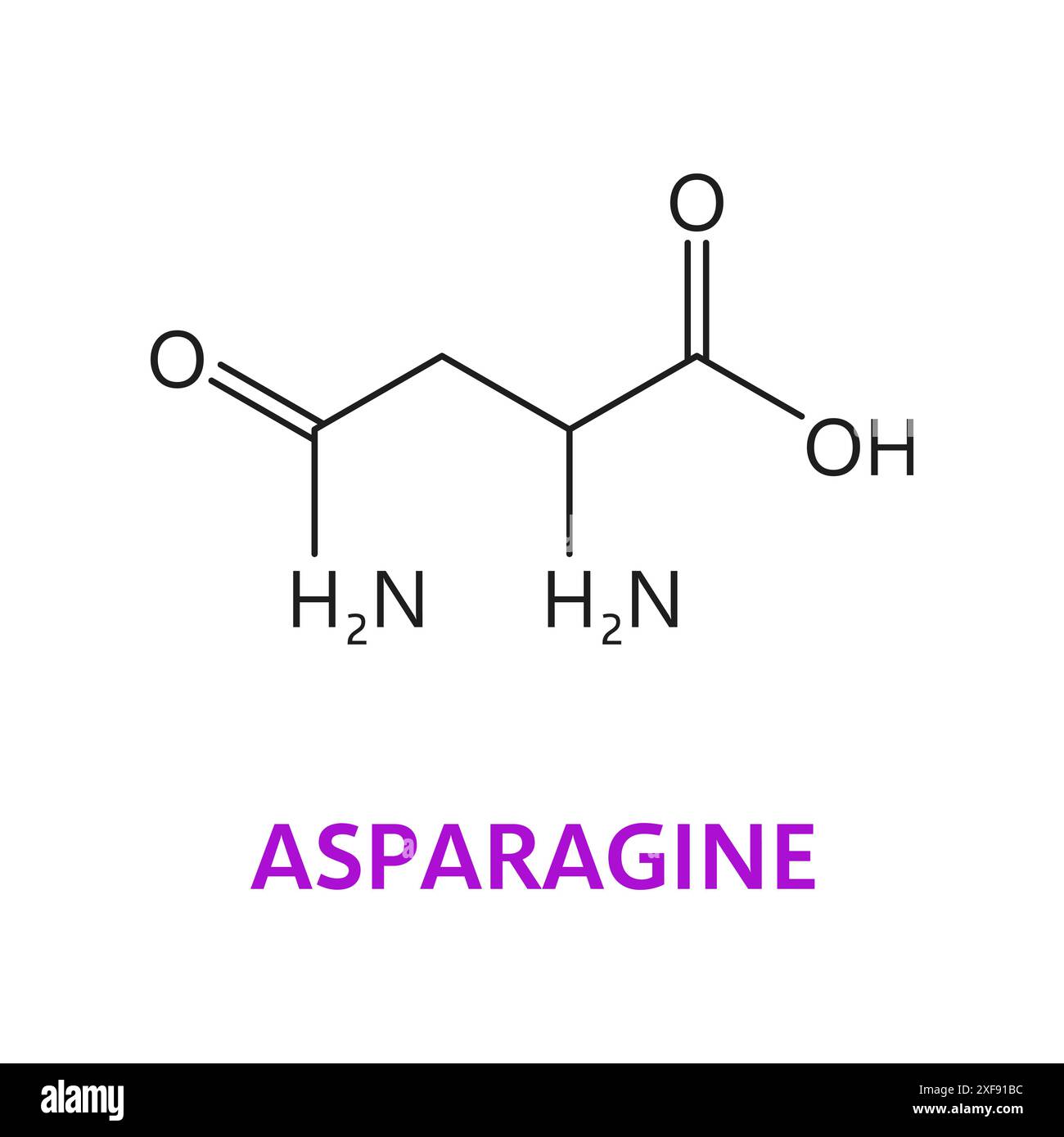 Isolated amino acid asparagine hi-res stock photography and images - Alamy