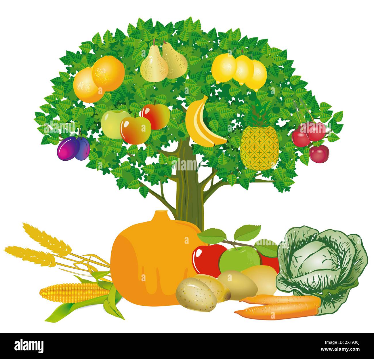 Tree with fruits and vegetables, cutout illustration Stock Photo - Alamy