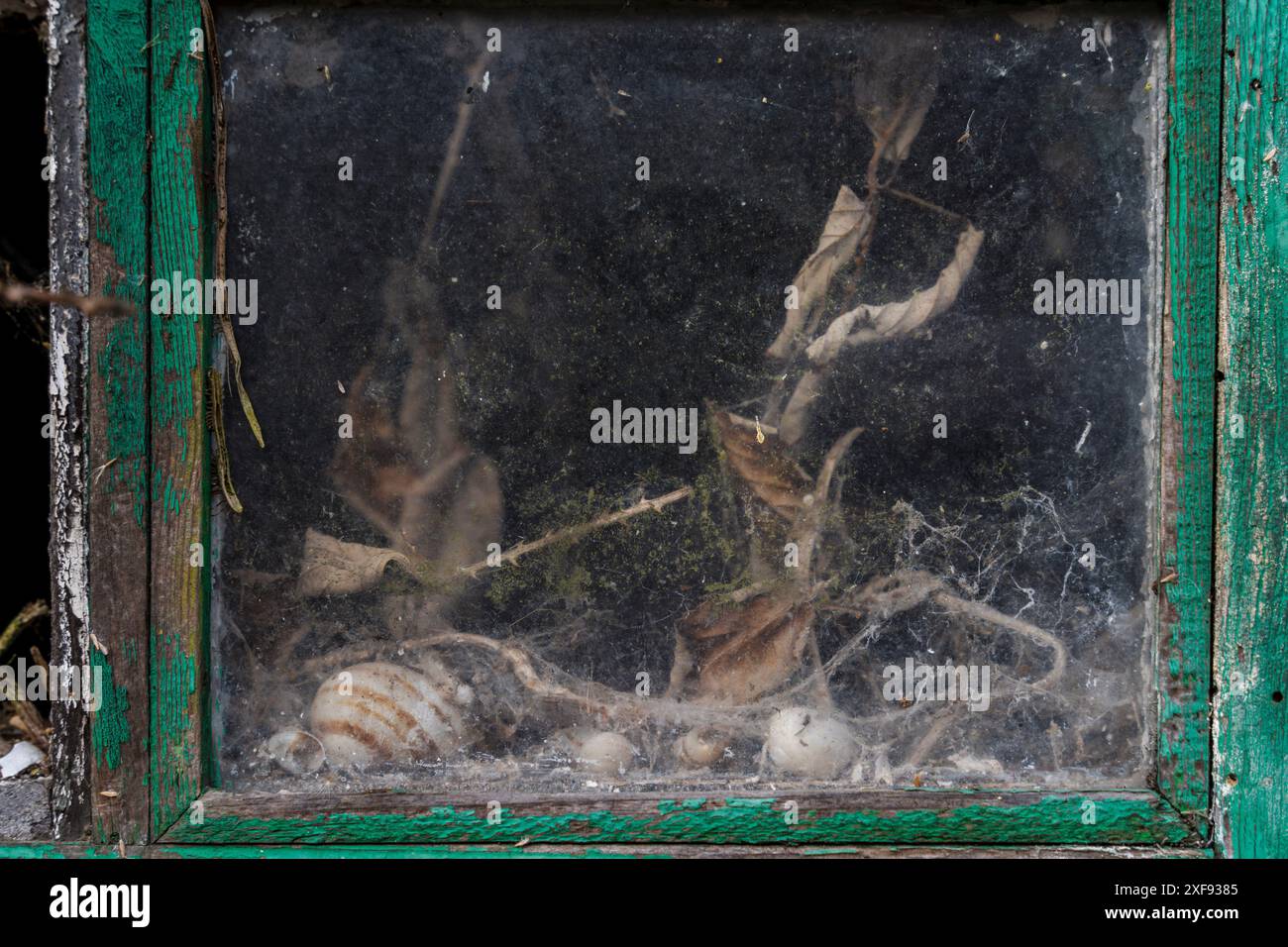 old damaged window on a farm in Liencres, Cantabria, Spain Stock Photo ...
