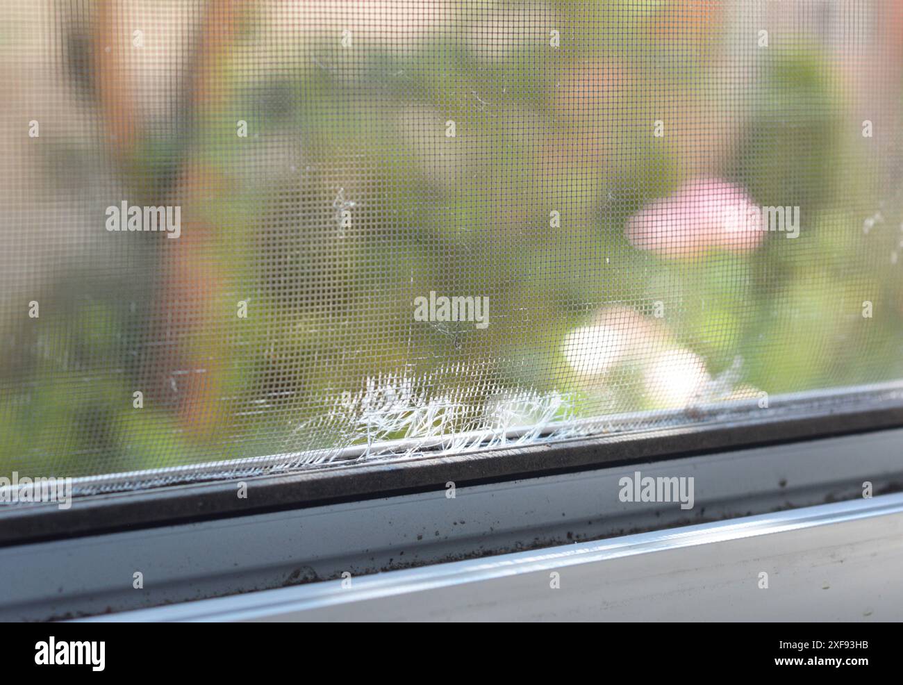 Repair Mosquito Net holes. Fix holes in mosquito screen Stock Photo - Alamy