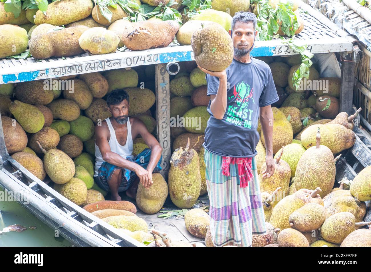 Developing jackfruit hi-res stock photography and images - Alamy