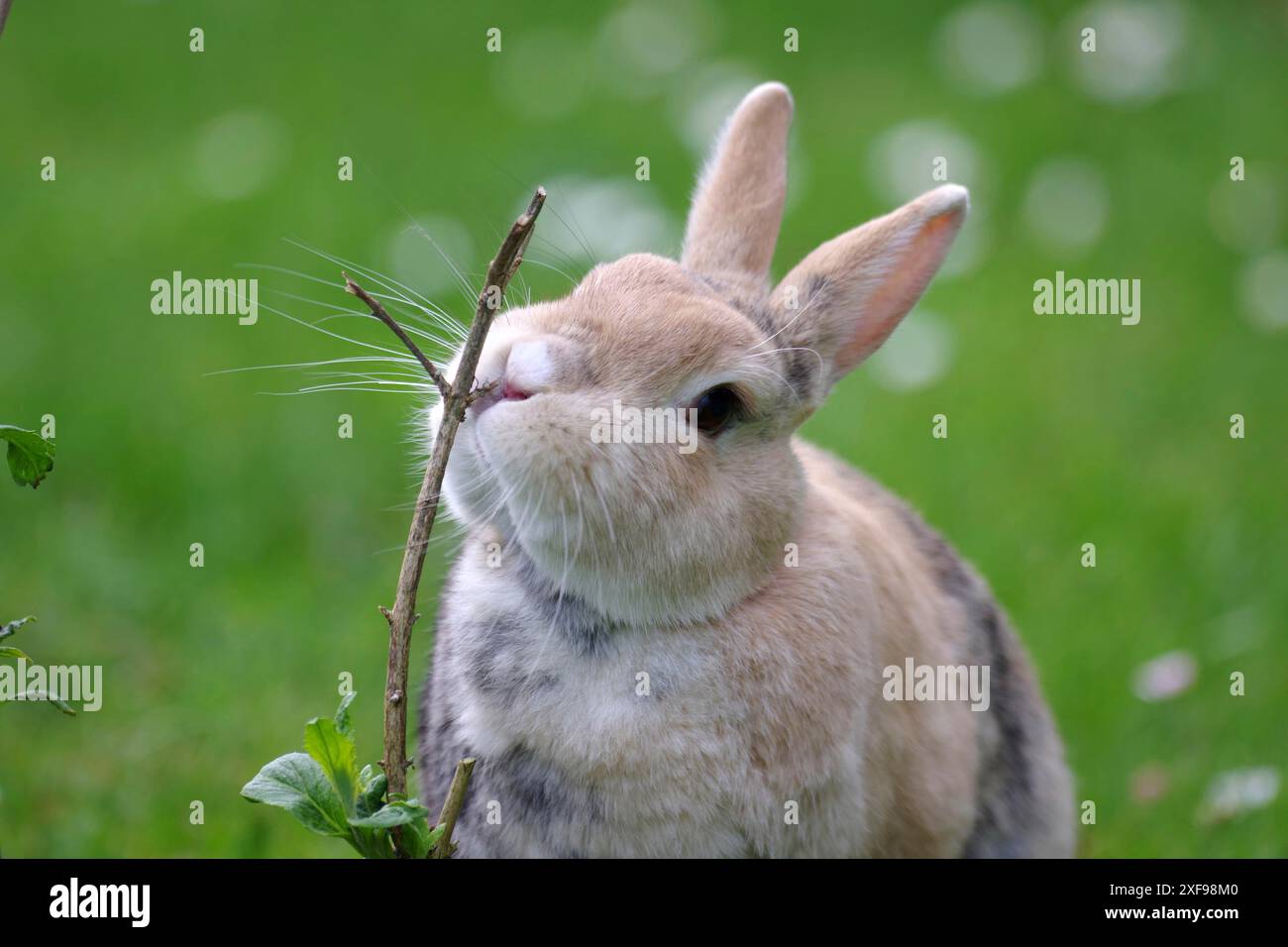 Exterior shot nibble hi-res stock photography and images - Alamy