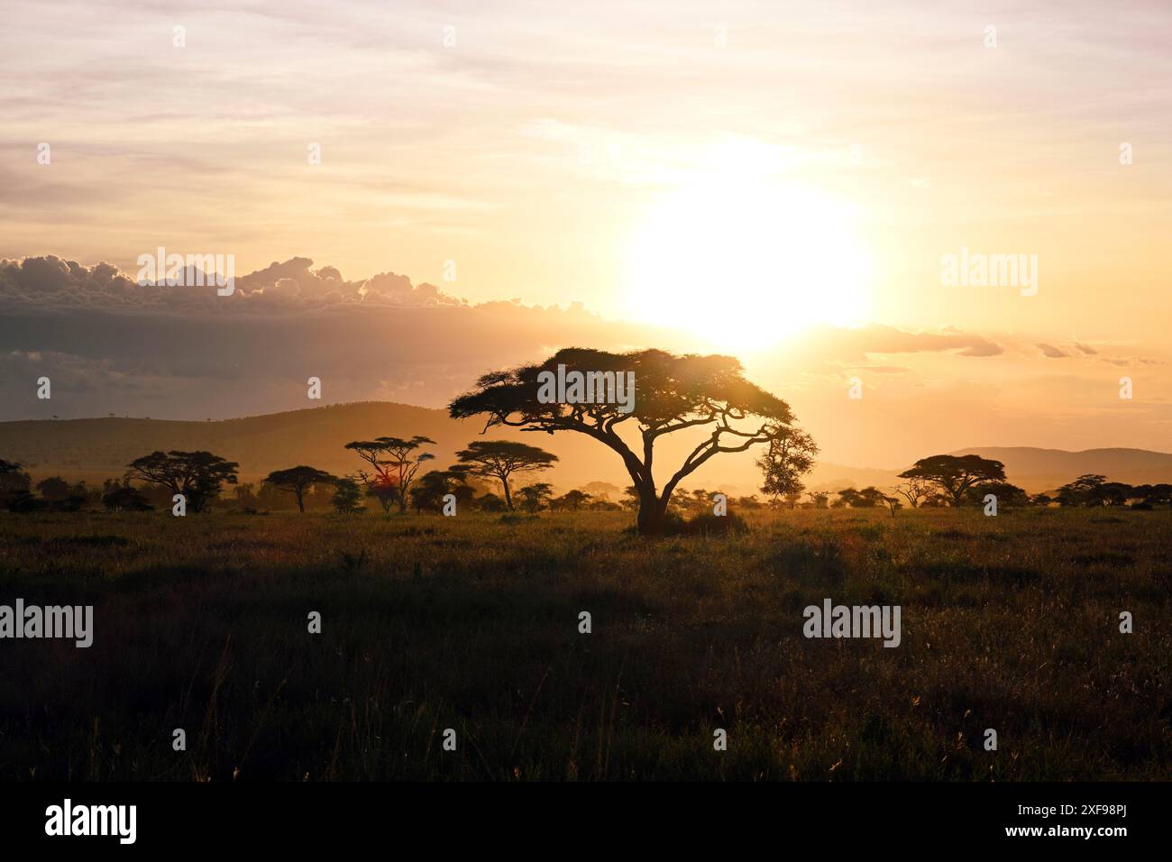 Serengeti national park sunset hi-res stock photography and images - Alamy