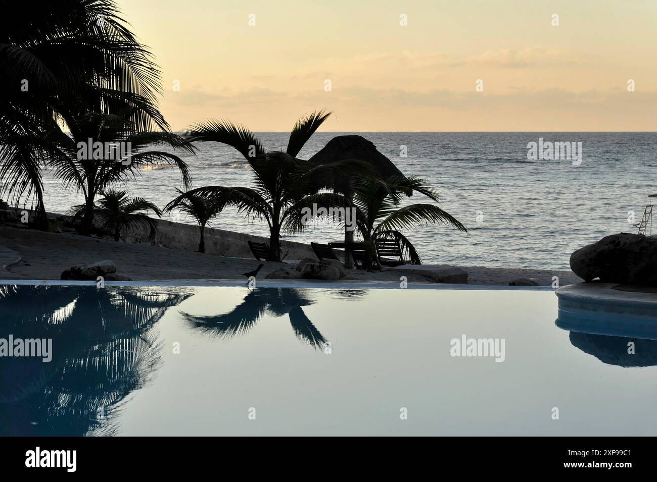 Paamul, Quintana Roo, Mexico, Central America, Beach scene with palm ...