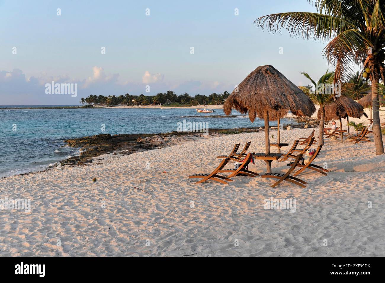 Paamul, Quintana Roo, Mexico, Central America, Beach with palm trees ...
