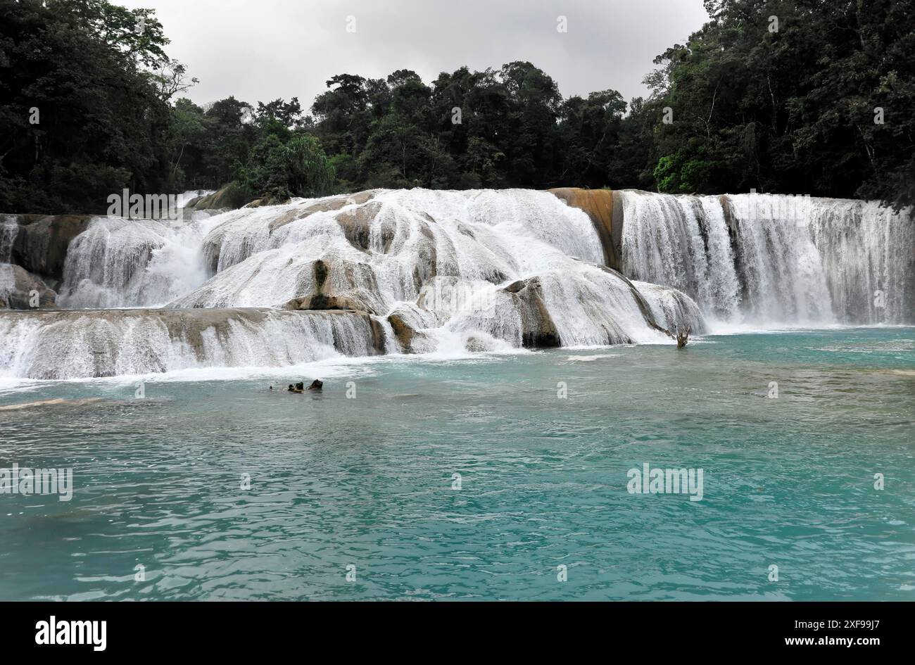 Turquoise-coloured water at the Cataratas de Agua Azul, Waterfalls of ...