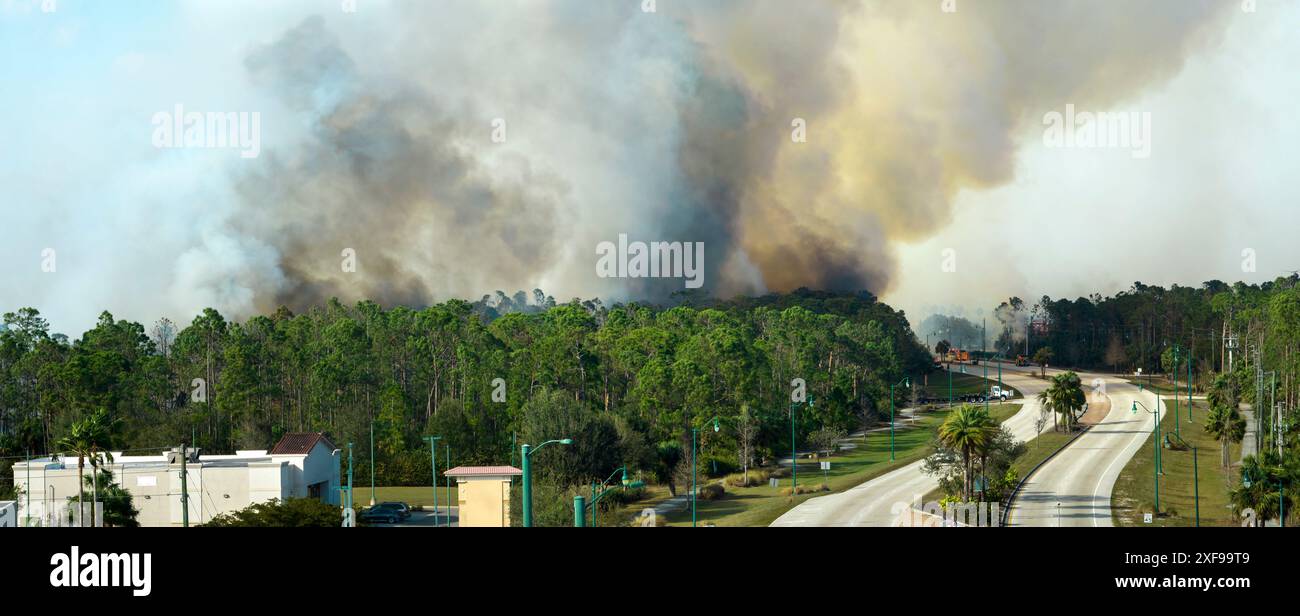 Fire department firetrucks extinguishing wildfire burning severely in ...