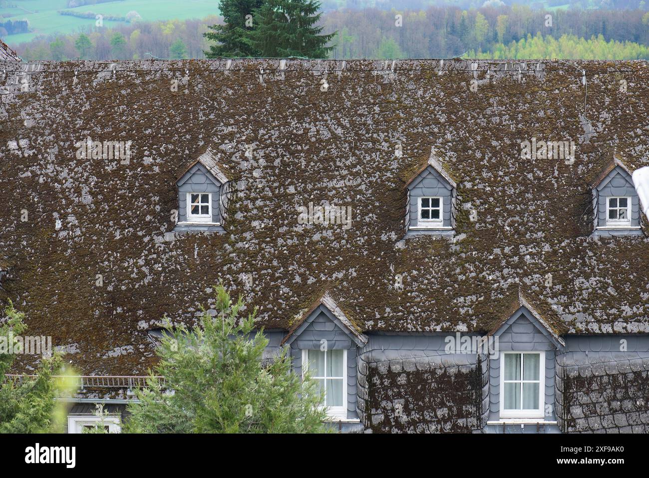 Slate roof hi-res stock photography and images - Alamy