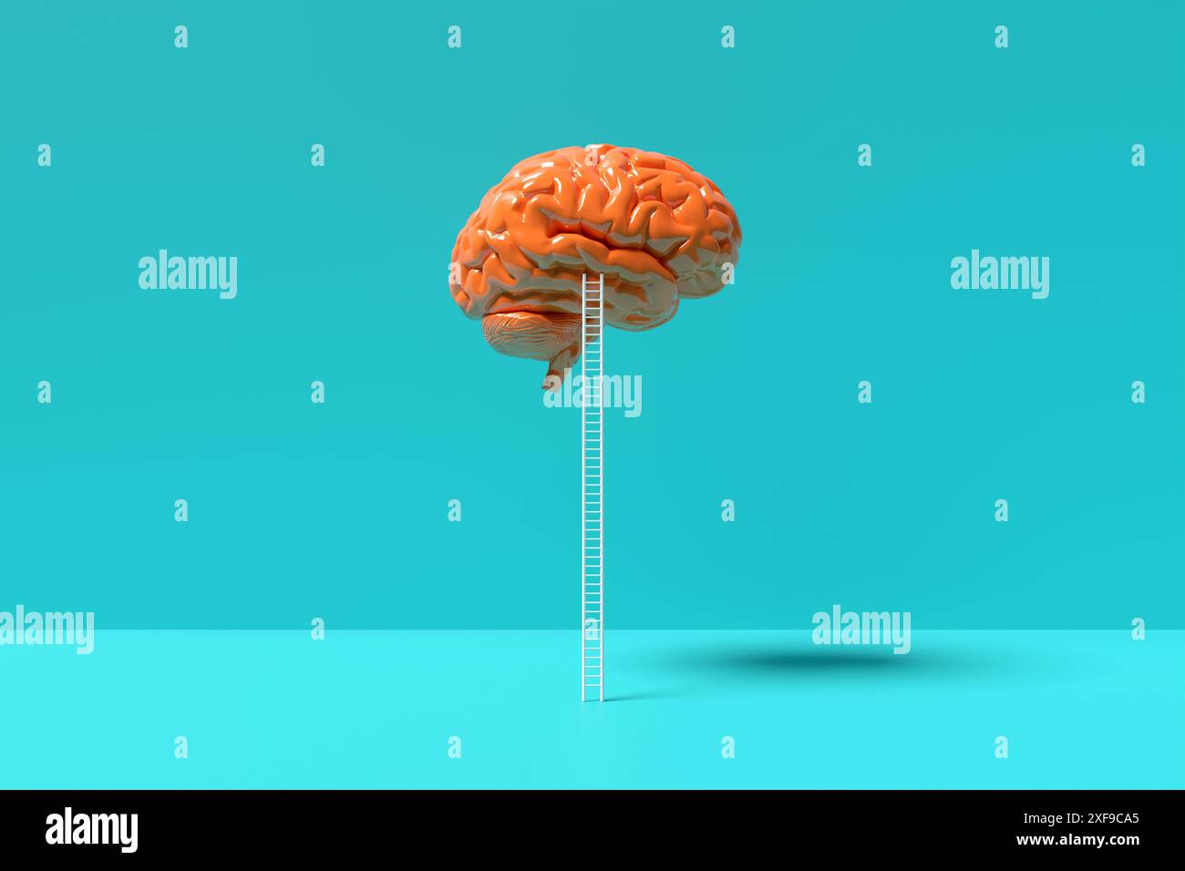 Human organ solution hi-res stock photography and images - Alamy