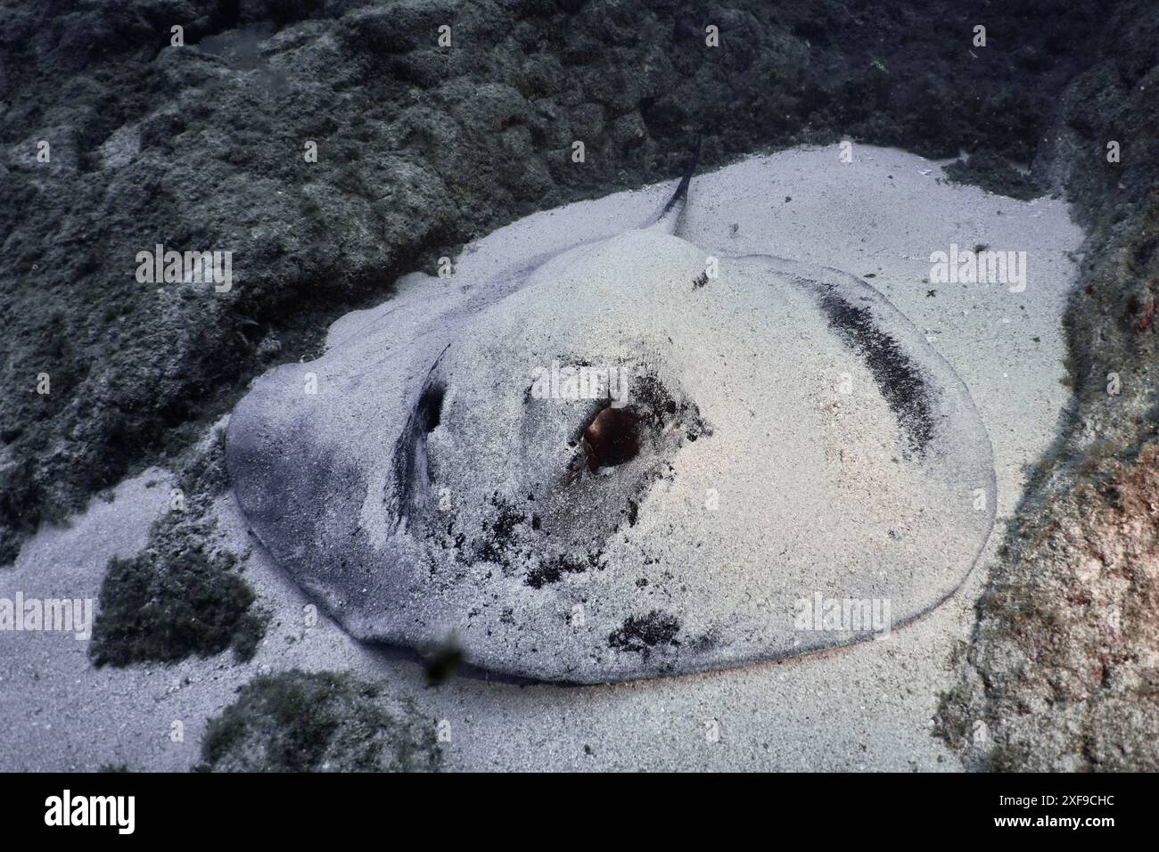 Between the buried and me rock hi-res stock photography and images - Alamy