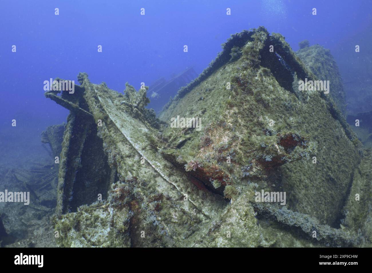 Heavily overgrown and rotten remains of a shipwreck in the sea. Dive ...