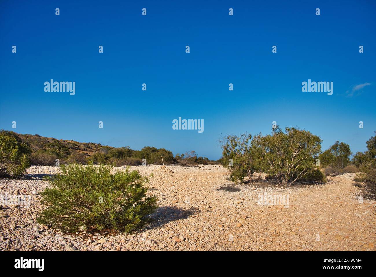 Dry riverbed australia hi-res stock photography and images - Alamy