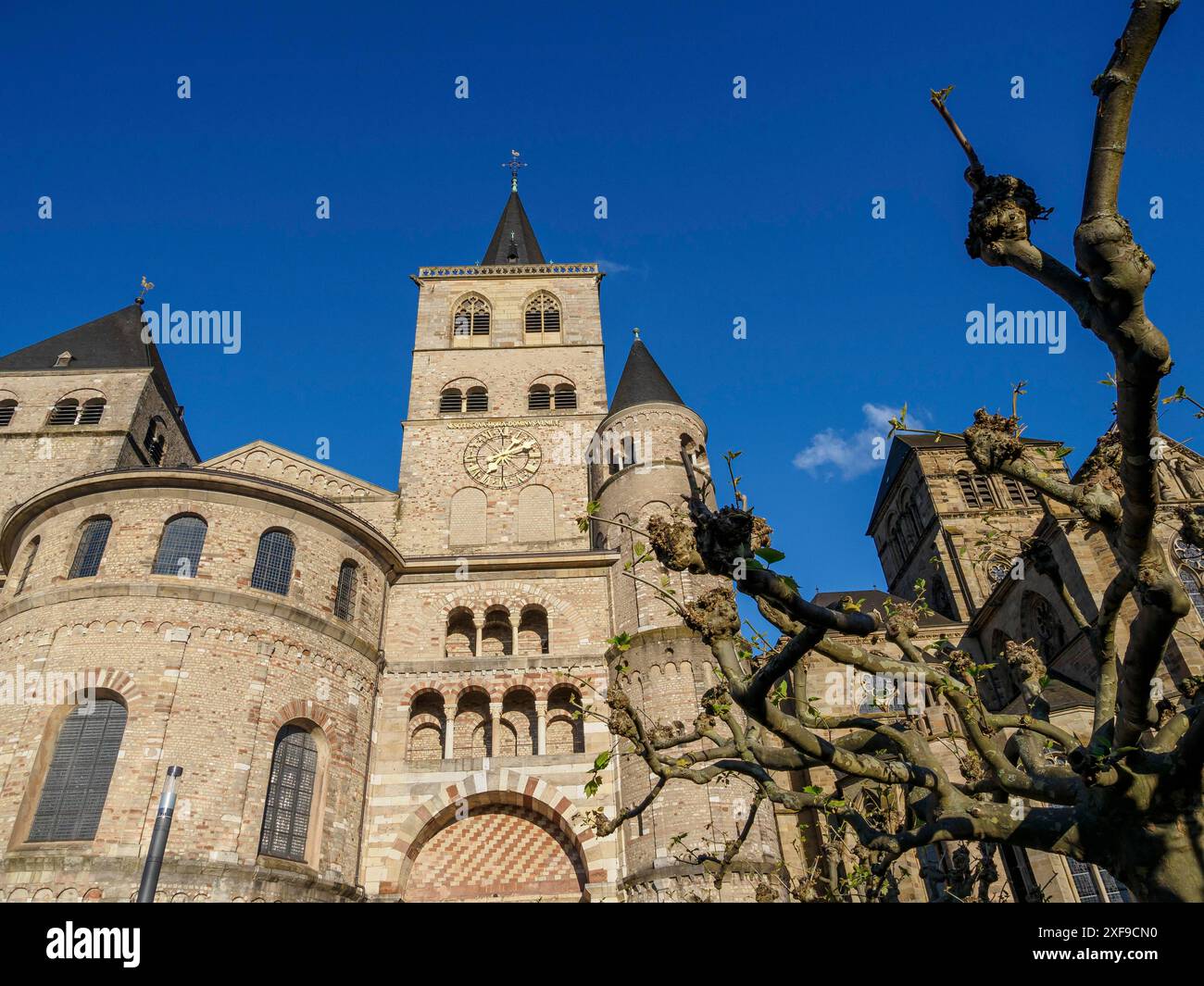 Romanesque cathedral with towers and trees under a clear blue sky ...