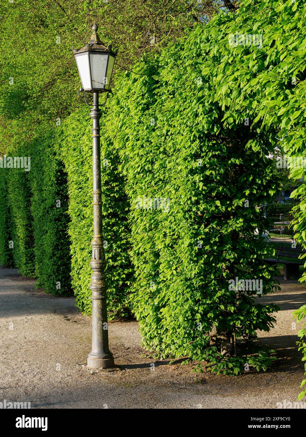 A garden path lined with lanterns runs along well-tended, green hedges ...